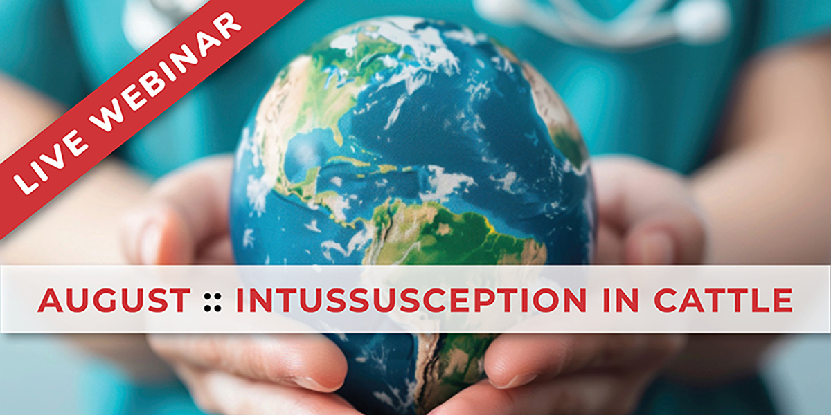August International Veterinary Rounds: Two cases of Intussusception in ...
